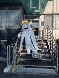 MeinPraktikum Rhenus SN Digital | Alle Praktika